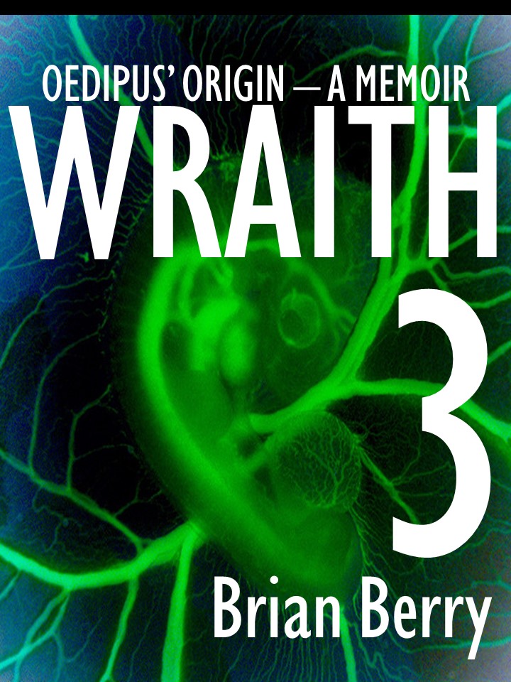 W3 Chapter 4: The Hiring Process – Brian